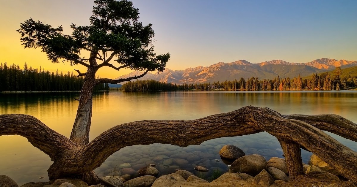 BANCO DE IMÁGENES GRATIS: Paisaje de verano - Superb summer landscape