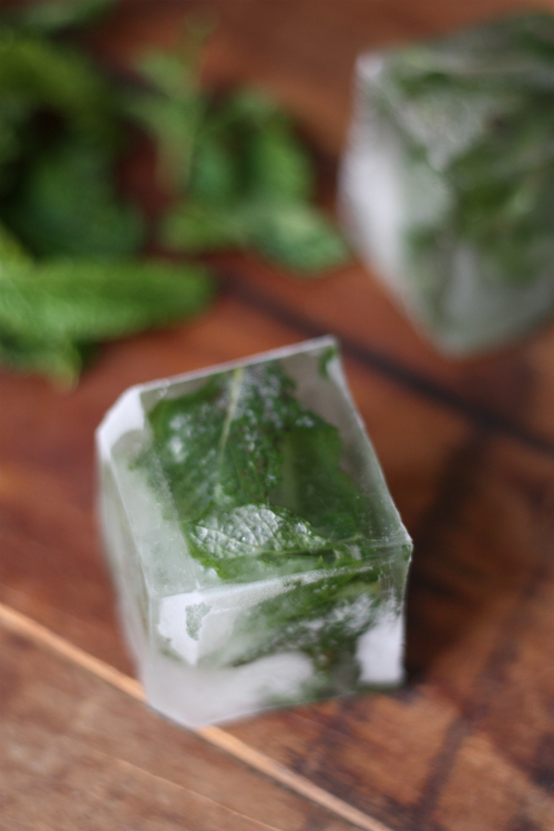 How To: Mint Infused Ice Cubes | 17 Apart