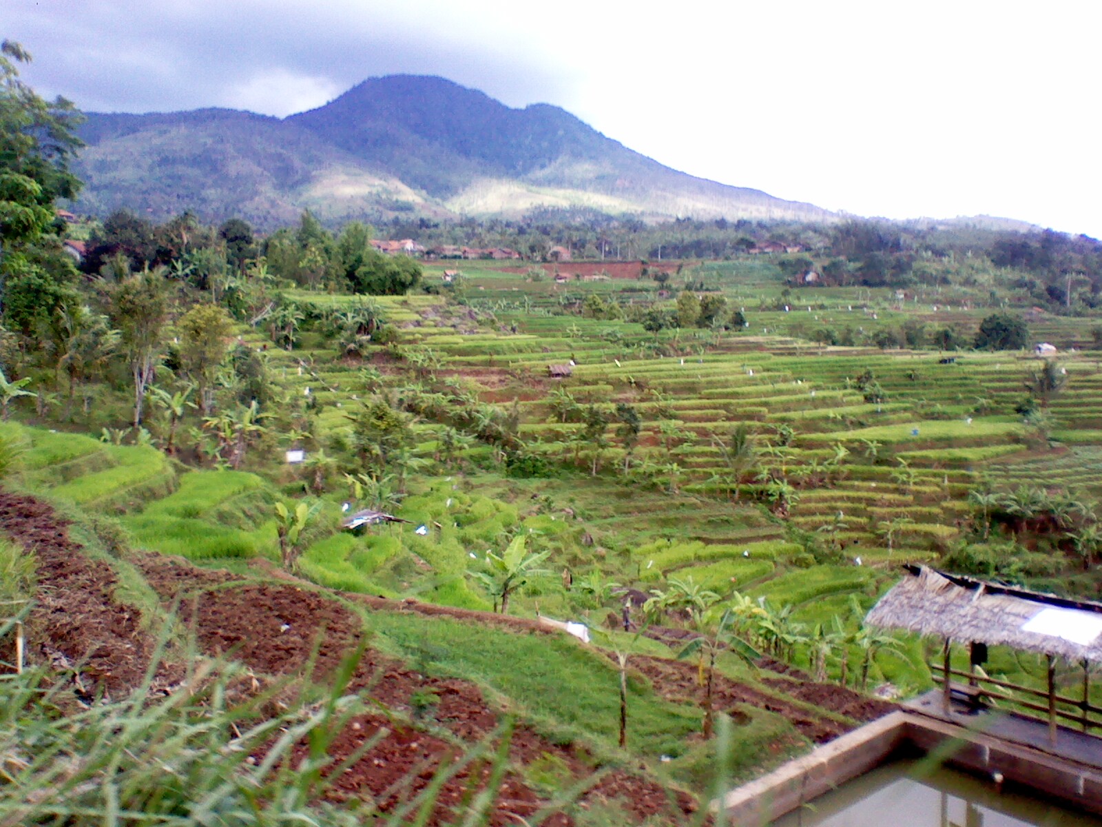 Traveller Amatir: Bukit Unggul Ujung Berung