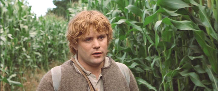 Notes: Samwise Gamgee gets caught by Gandalf 'eavesdropping" (extract ...