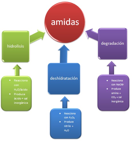 AMIDAS Y AMINAS