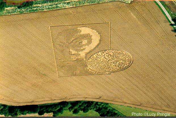 Curious? Take a look . . . .: CROP CIRCLES . . . . Here lies the TRUTH