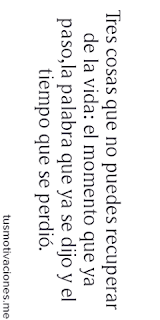 BACBLOC: EL ROBLE Y EL BAMBÚ