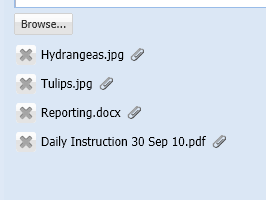SMART Coder: ExtJs Multiple file Upload Control