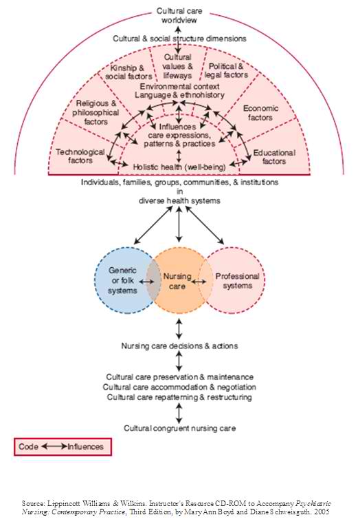 Trascultural Theory: The Sunrise Enabler Model
