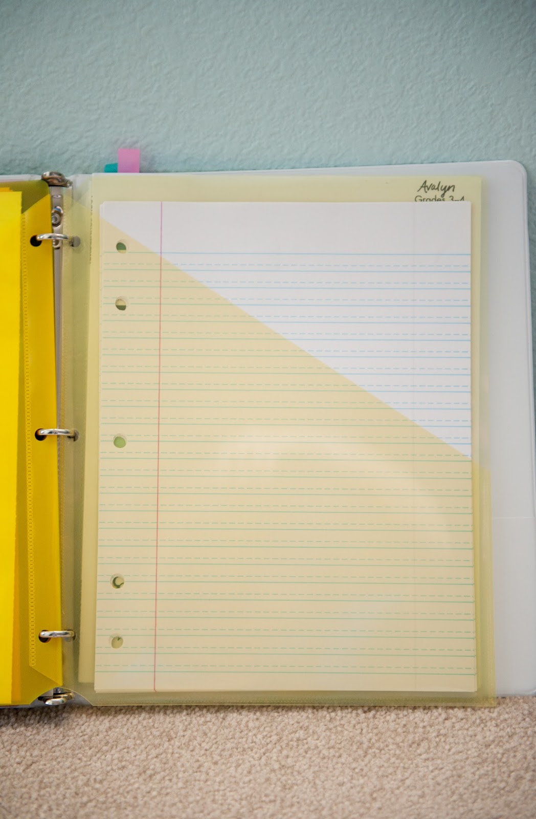 Teaching Twins at Home: 2016