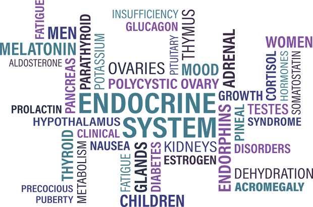 The Most Common Diseases of the Endocrine System - An Overview of ...