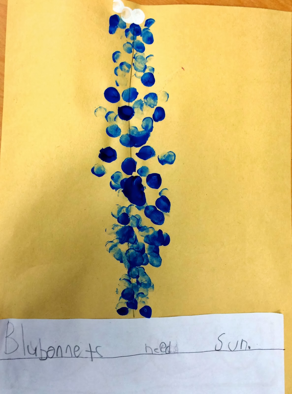 Splendor in Kinder: Bluebonnet Craft/Writing