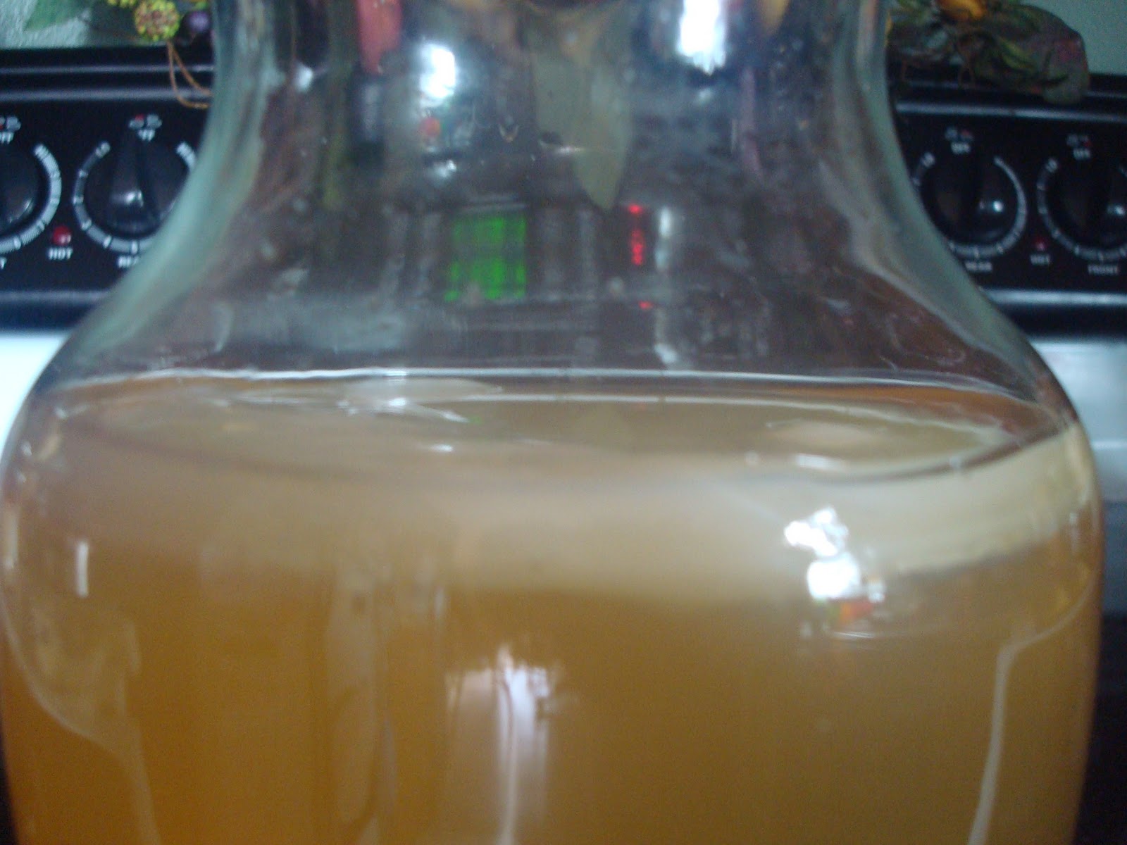 Natalie's Food 911: How to make a Kombucha 'mother'! SCOBY