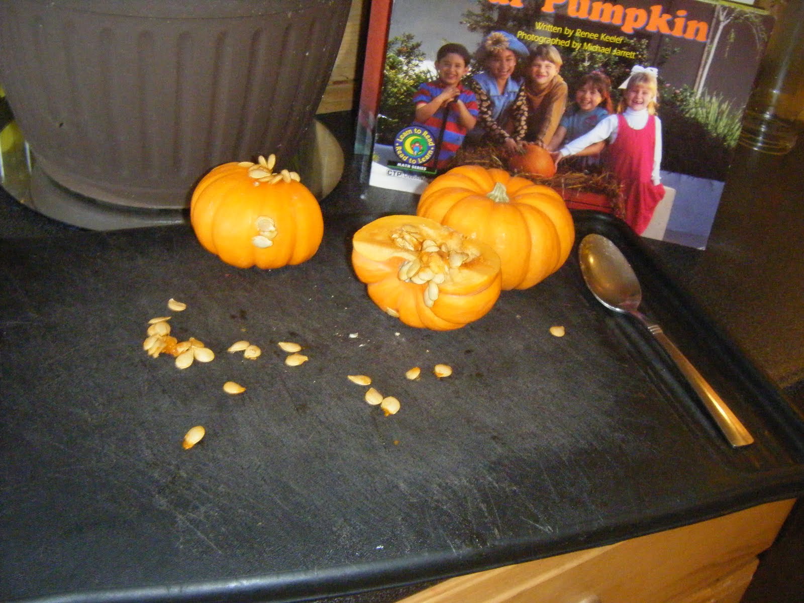 ABC's of Jess's house: The Inside of A Pumpkin