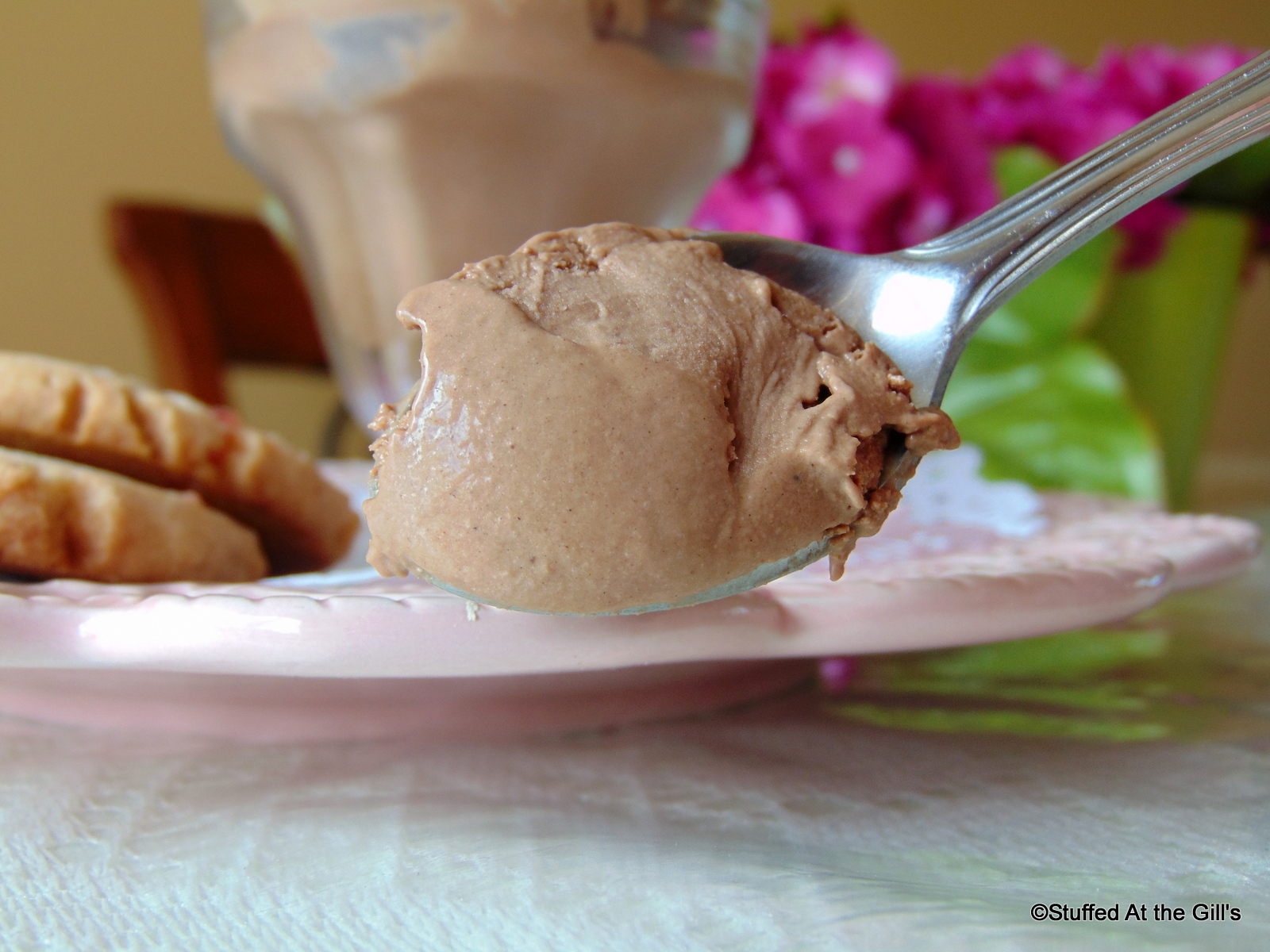 Creamy, Smooth You Won't Believe It's Vegan Chocolate Ice Cream