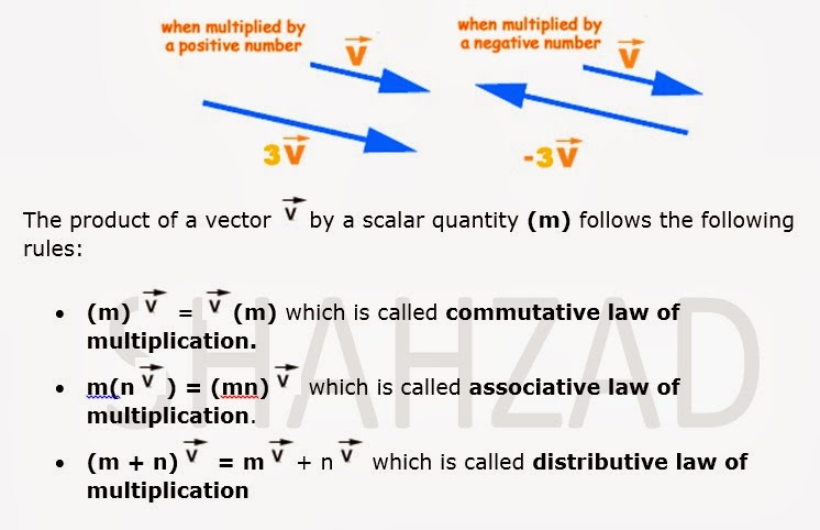Secondary Physics: Introduction To Scalars & Vectors