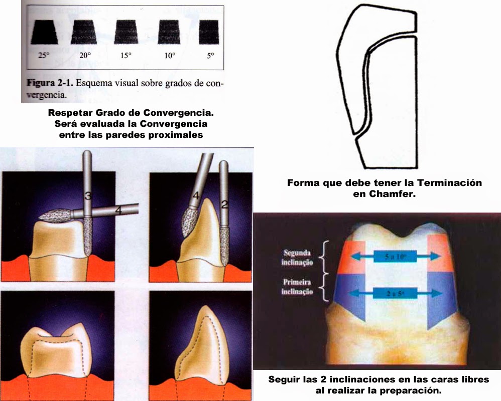 Integral 2014 grupo Dra. Cerda: agosto 2014