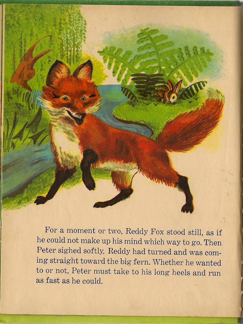 The Secret World of Hazel Catkins: Peter Cottontail and Reddy Fox