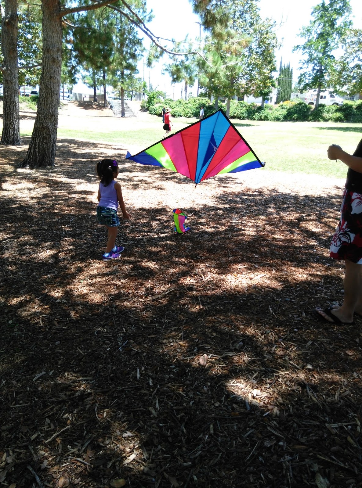 mygreatfinds: Large Delta Kite With Tail By Get Childish Review