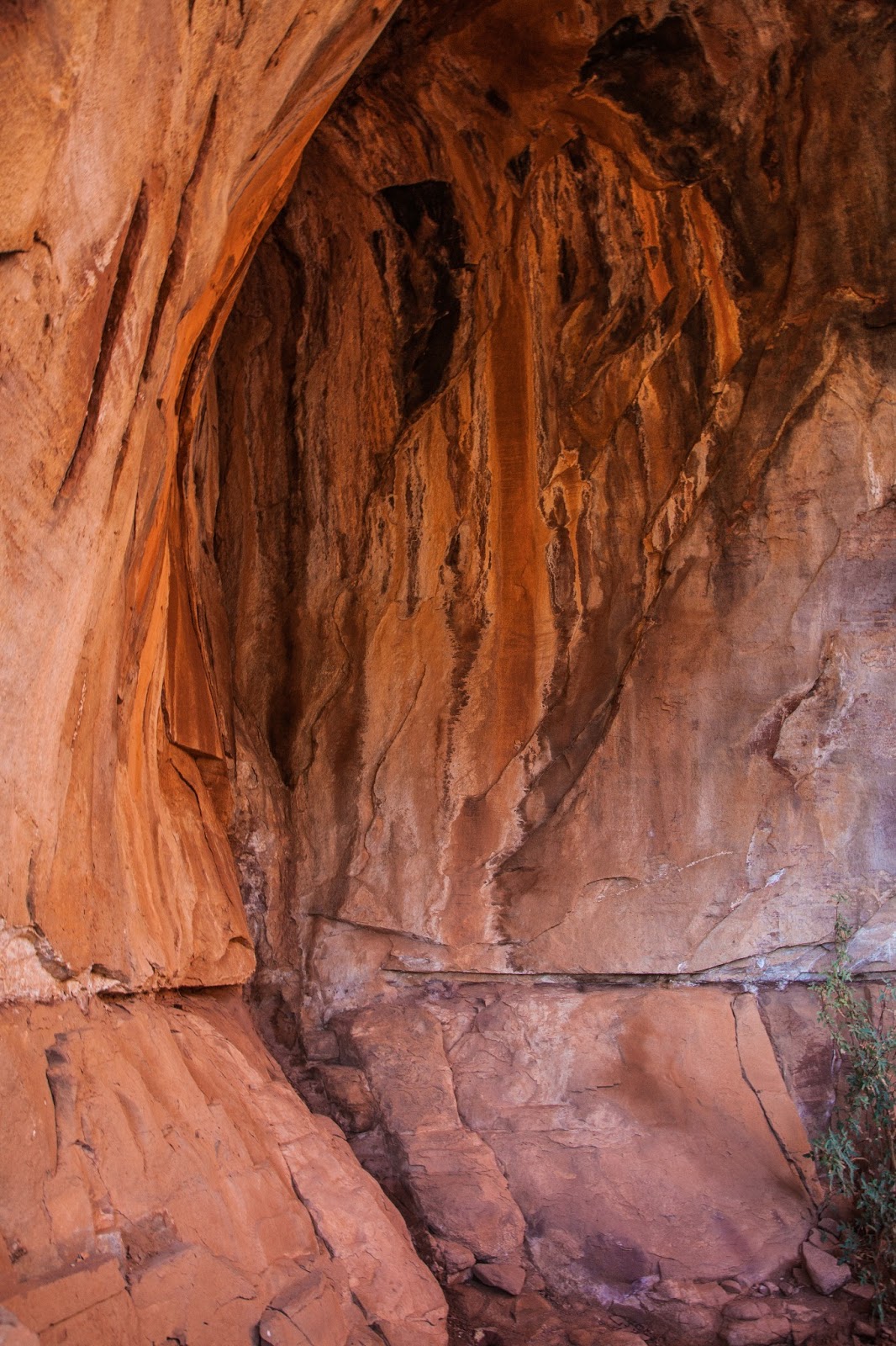 Walking Arizona: A Sandstone Alcove