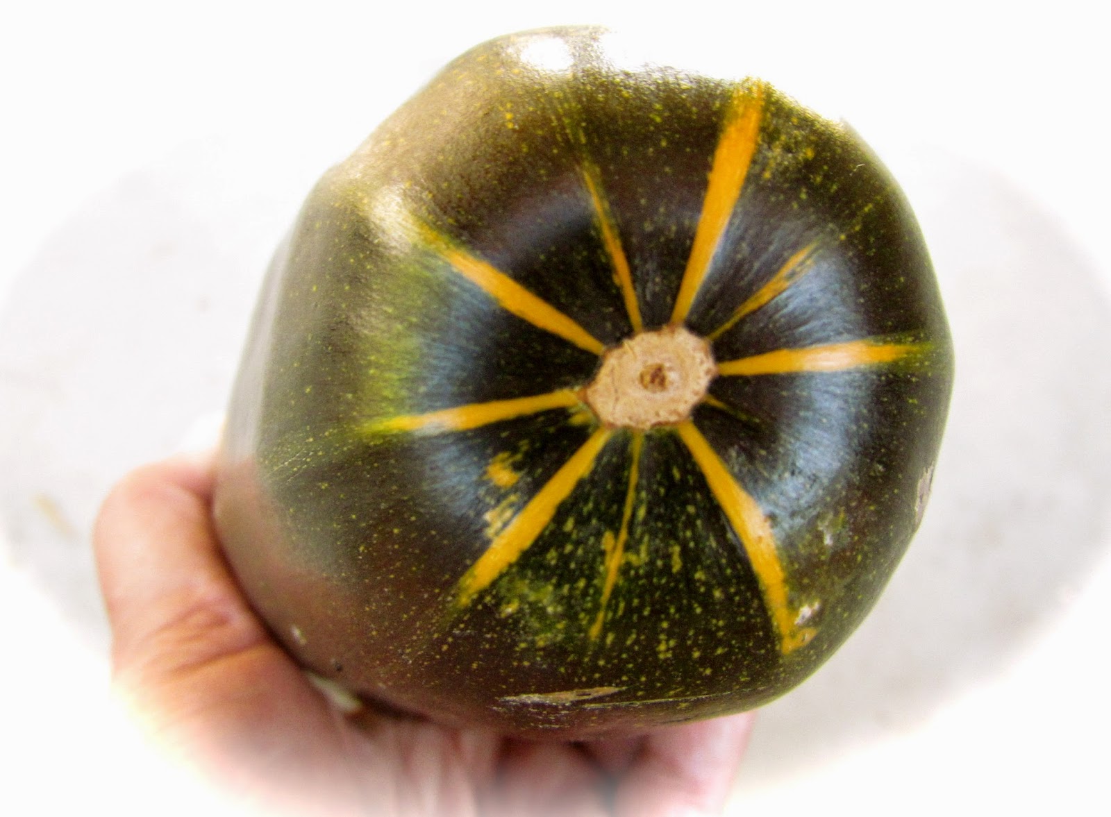 Seed Revolution Now!: Dark Star Zucchini