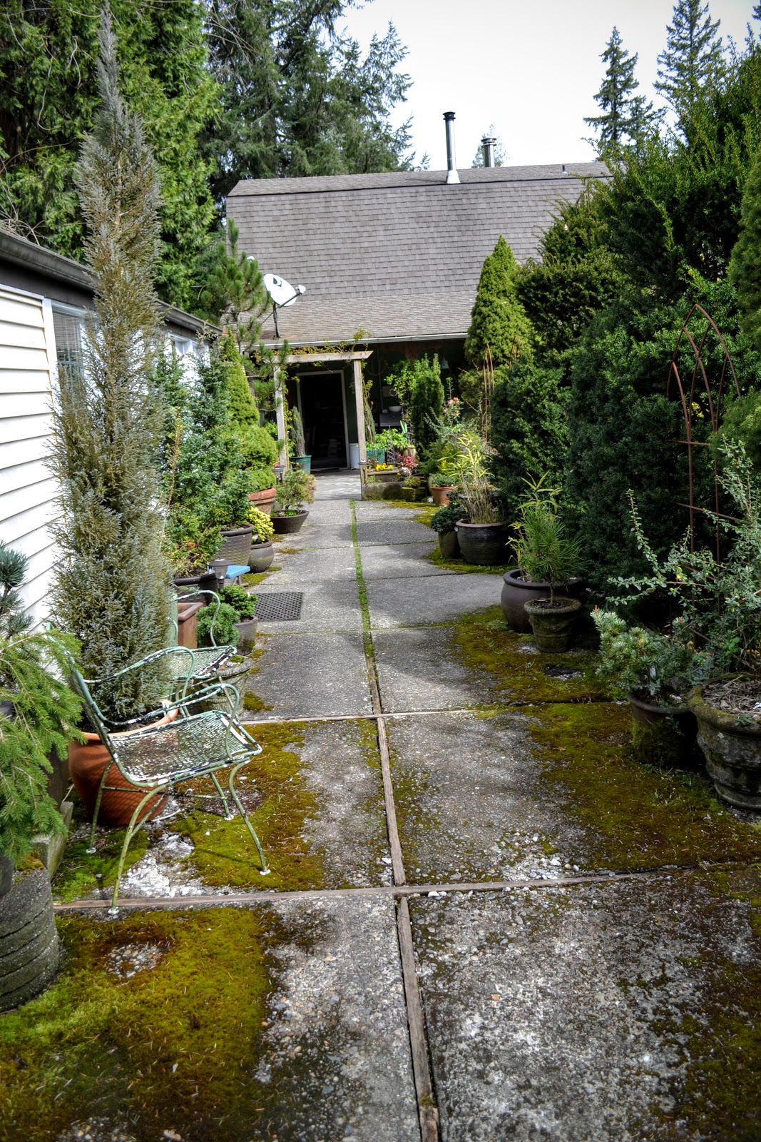 The Outlaw Gardener: A Day in the Country Part One: The Old Goat Farm ...