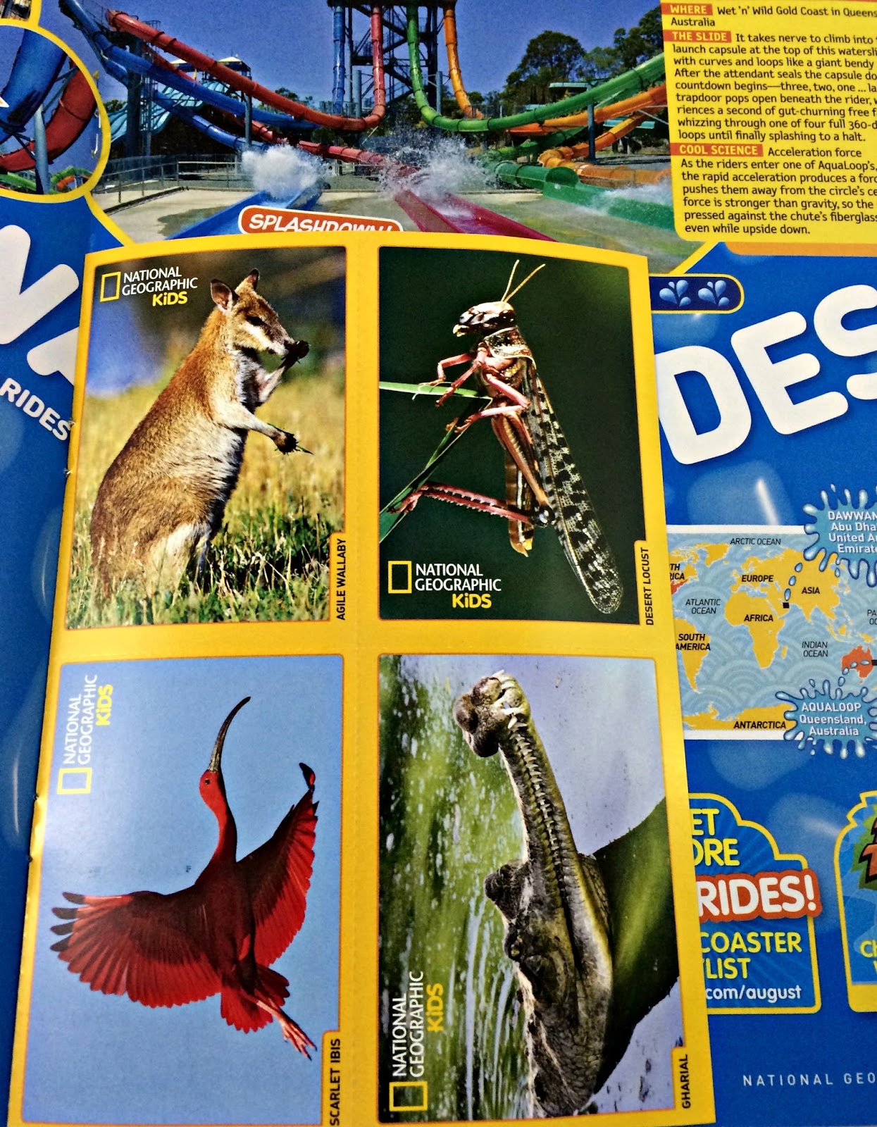 A GEEK DADDY: National Geographic Kids Magazine - Summer Issue