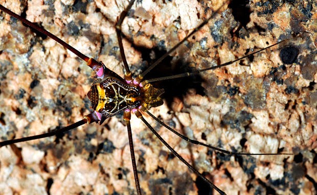 Sala BioQuímica: Vida na Caverna e o vestibular