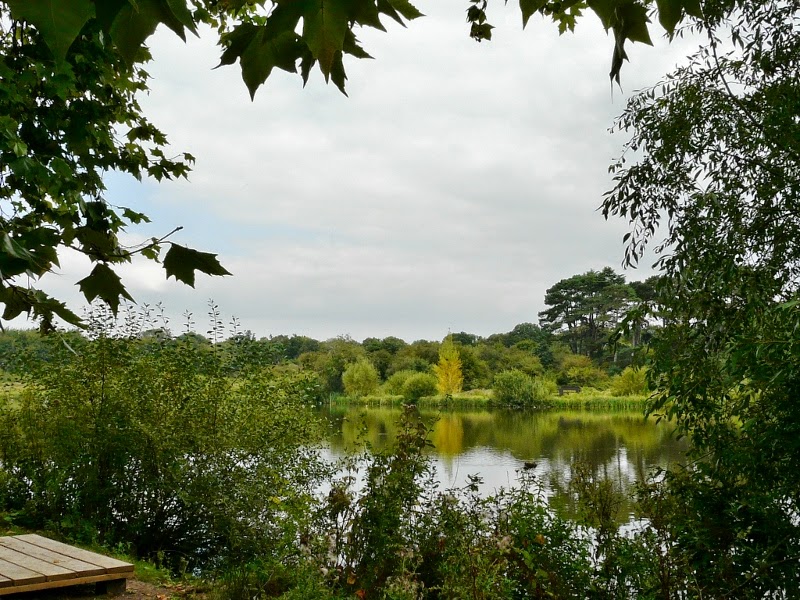 Cindy's Snaps: Hatfield Forest (stomping ground of my Hatfield Broad ...
