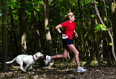Cardio Trek - Toronto Personal Trainer: Dog Jogging for Beginners