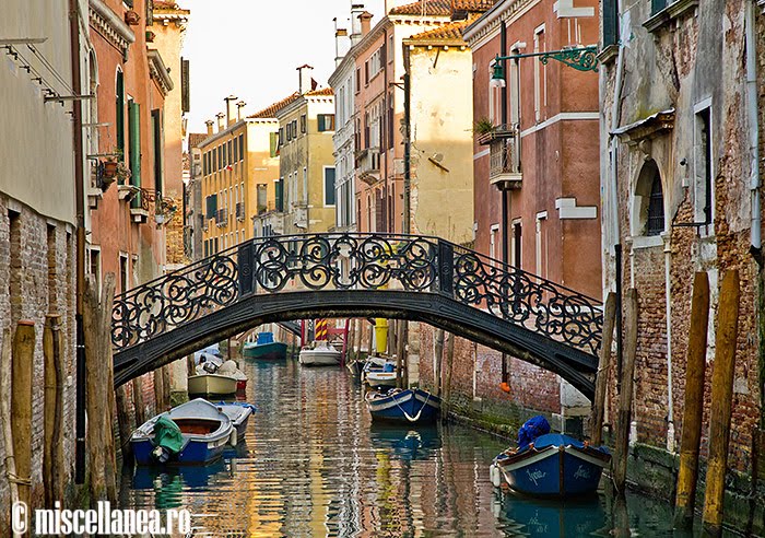 Miscellanea: Veneţia – poduri