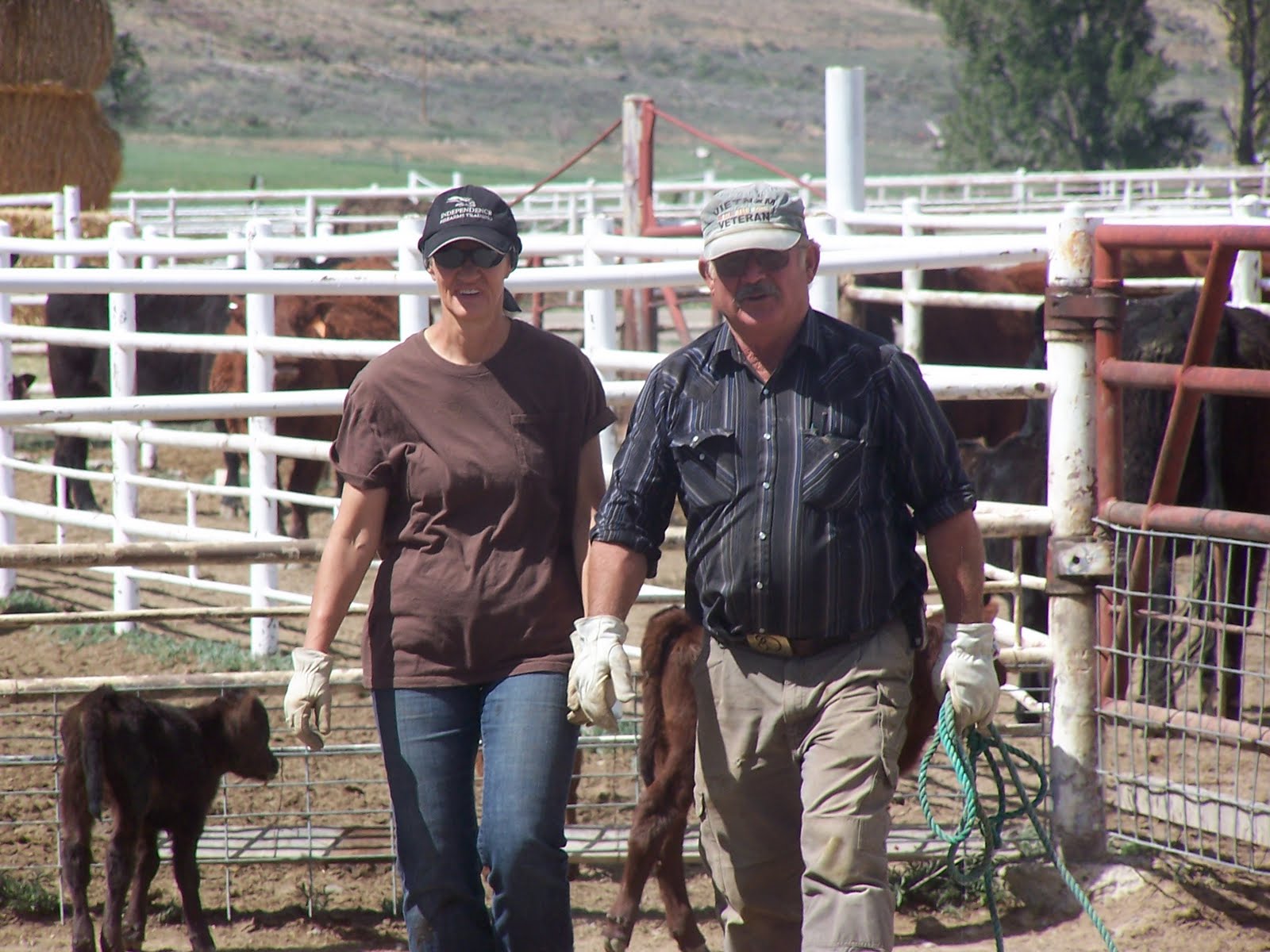 Barn Raisin': Dwarf Calf and Music
