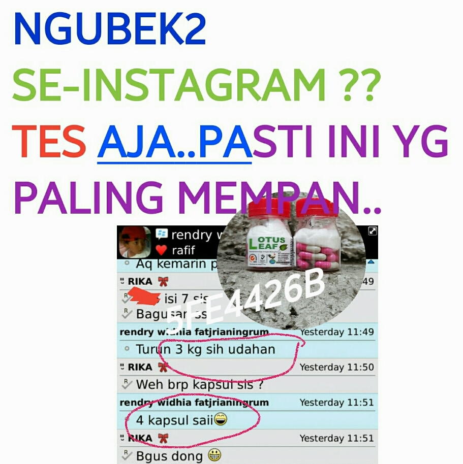 LotusLeafUsa PELANGSING PALING AMPUH AMAN DAN CEPAT OBAT KURUS PALING ...