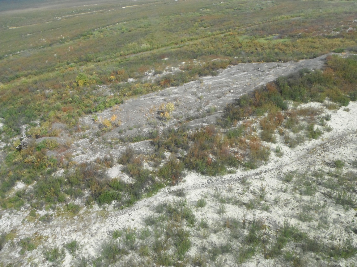 On The Land: The of Canol for this year.