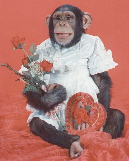 Jeanette Levellie: Hope Splashes : My Valentine to You, Even Those of ...