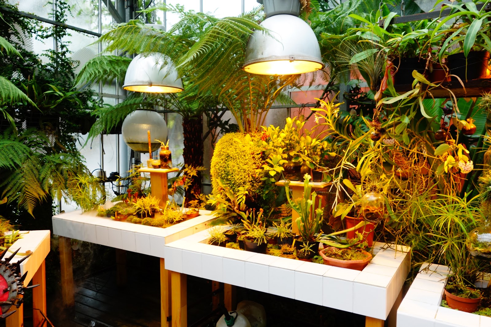 Les Machines de l'Ile à Nantes, à voir absolument ! - Initiales GG ...