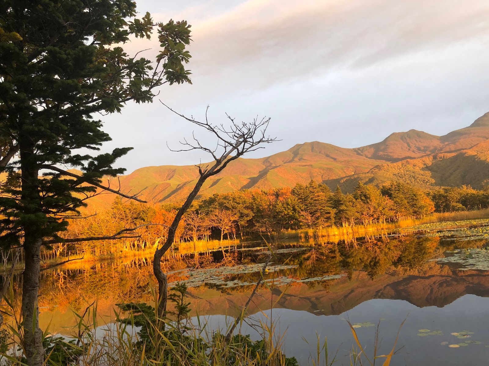 Autumn in Hokkaido Itinerary Self Drive - 10 Day 9 Night (Hakodate ...