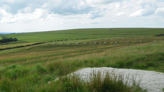My Dartmoor Walks: Wednesday 7th August Hare Tor