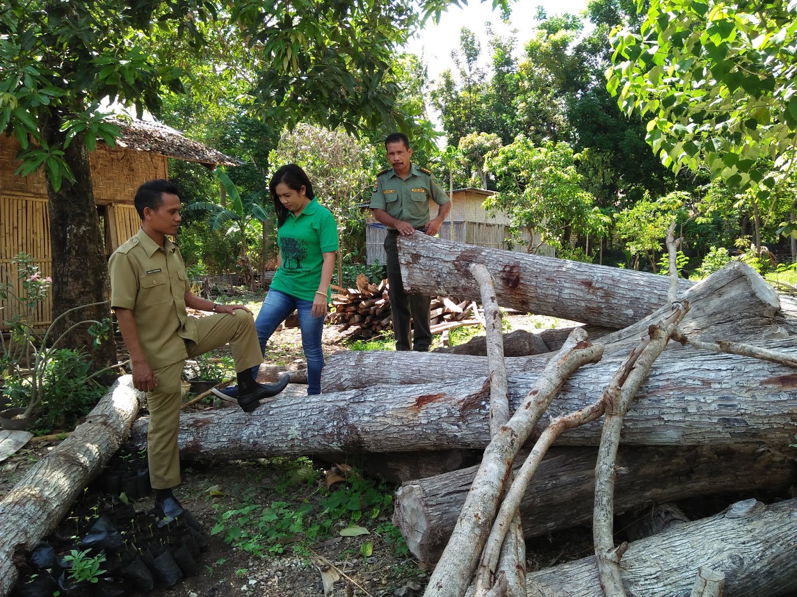 Kepala UPT Kehutananan Membenarkan adanya Penebangan liar di Kawasan ...