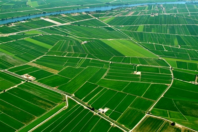 VITICULTURA: La agromática y agrónica