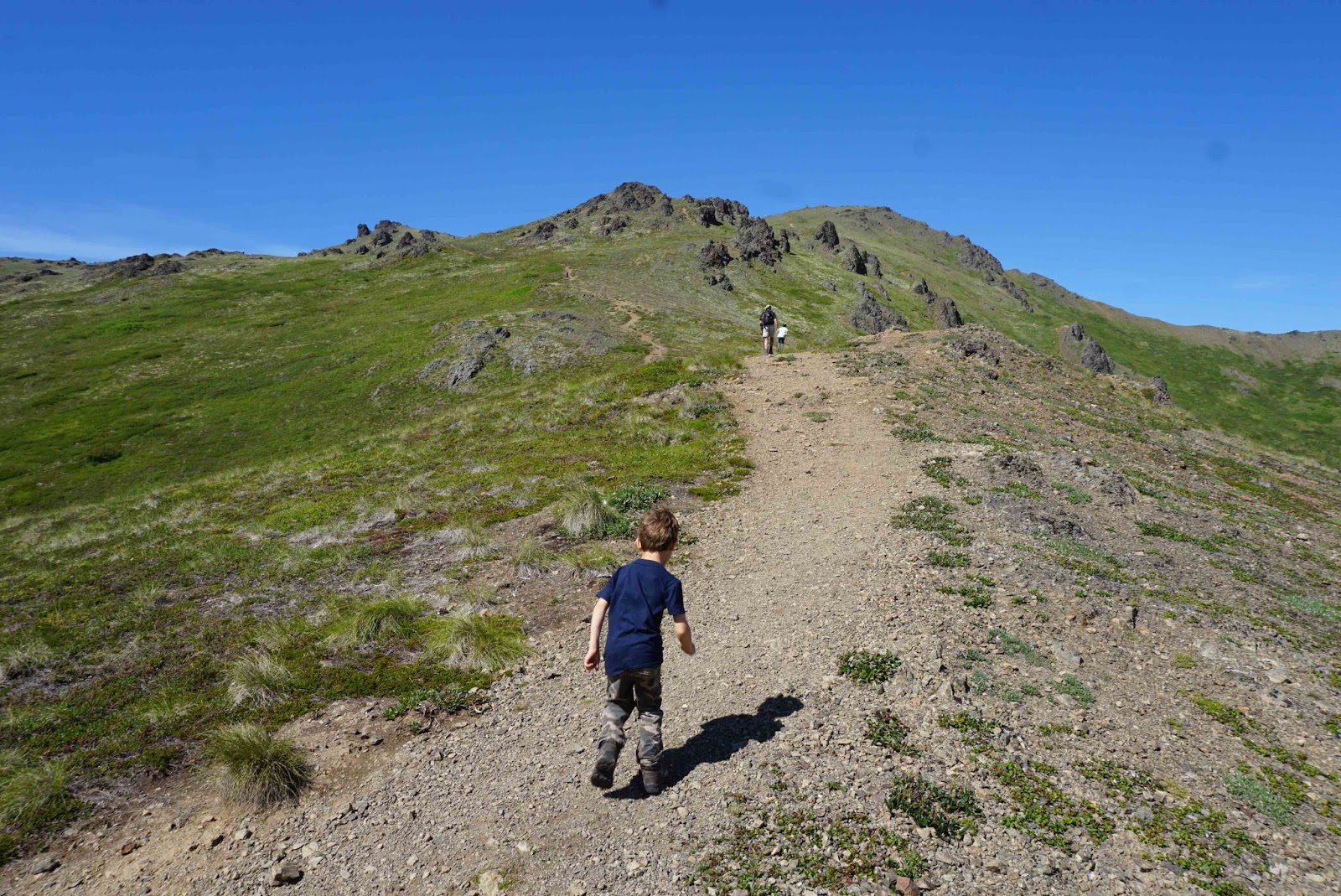 The Adventures of Asher & Journey: Mt Gordon Lyon