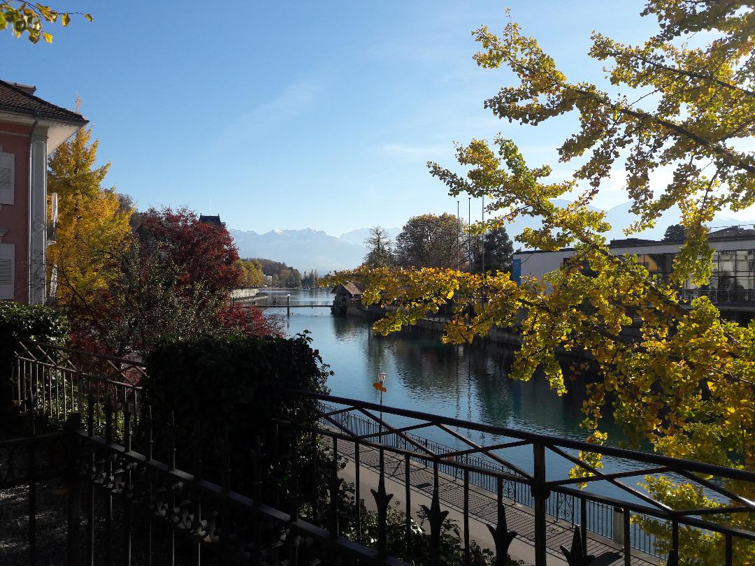 Travel Post 5 and Hodge Podge No. 8: Thun, Library, and Kuşadası