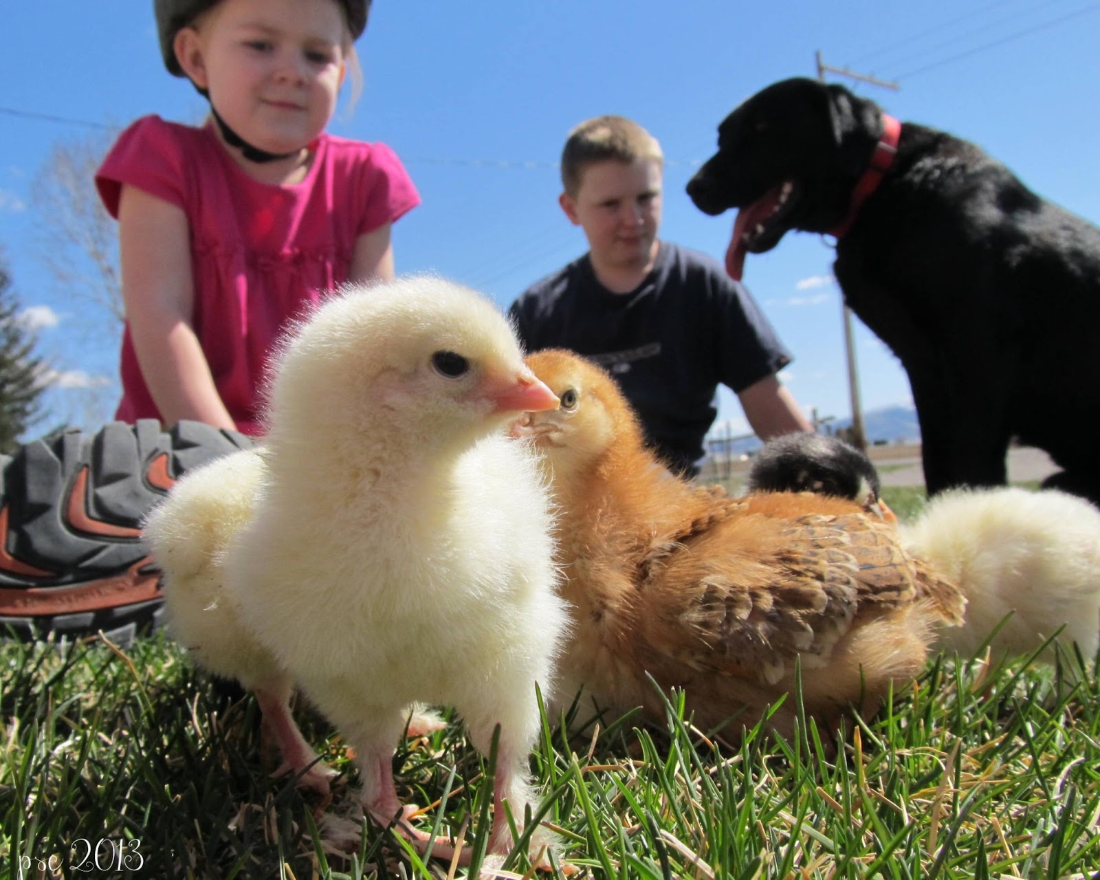 Pickup Some Creativity: Easter, and I'm feeling like the bionic woman.