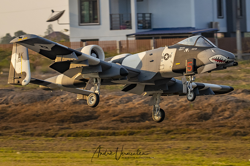 AVWindow: A10-Warthog Radio controlled Model Aircraft