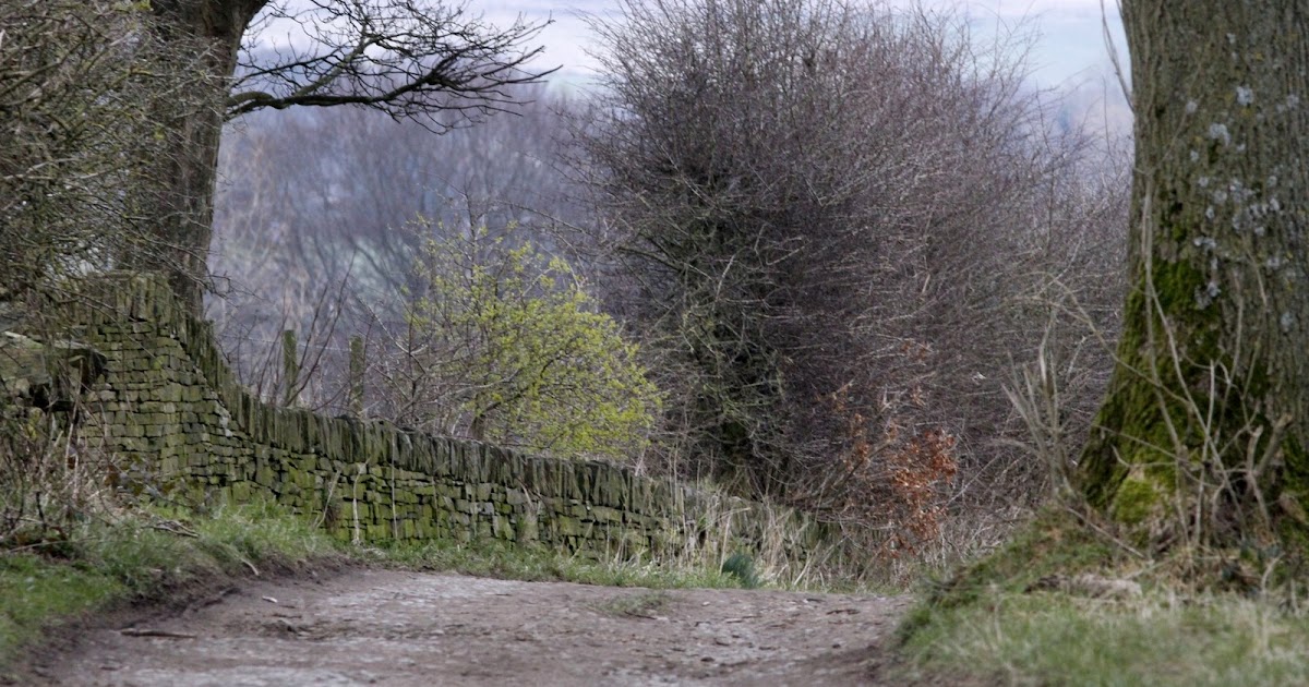 WEST YORKSHIRE BIRDING: Coley Church, Mixenden Reservoir