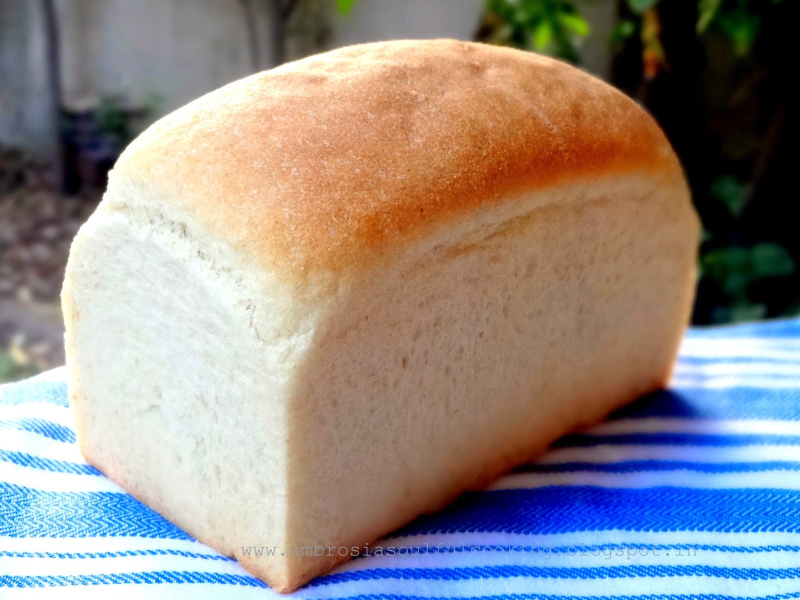 Semolina Cilantro Loaf | Sooji bread | Ambrosia