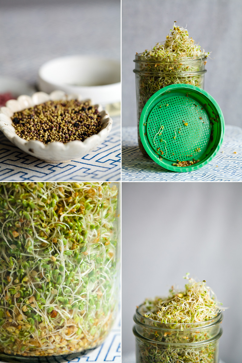 tea cup tea: MASCARPONE SPROUT CANAPES WITH COCONUT POUCHONG TEA