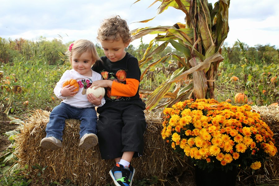 All Four Love: Pumpkin Picking is....Scary?