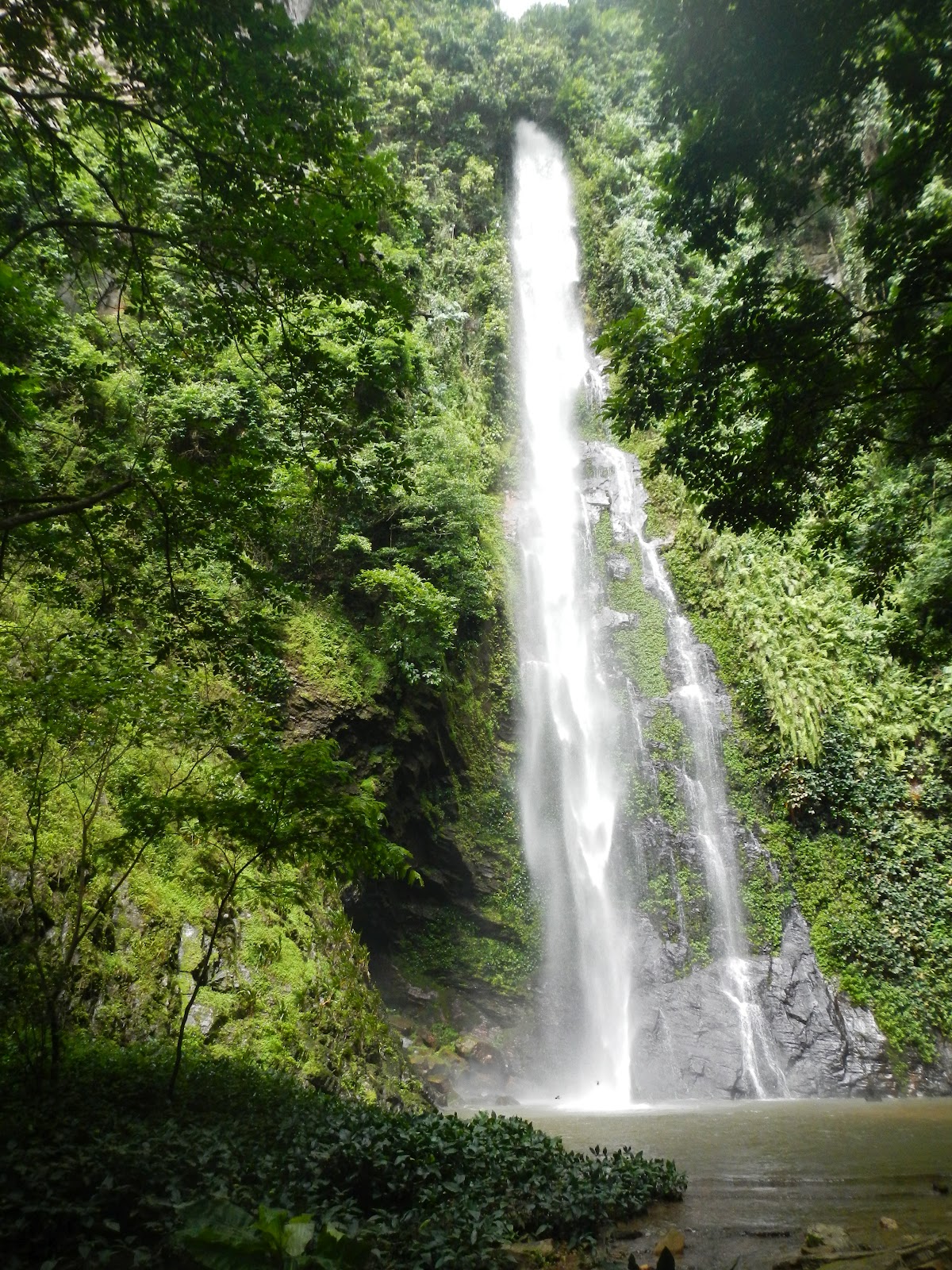 Life in Ghana!: Mount Afadjato and Tagbo Falls