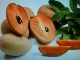 SAPODILLA AND ITS NUTRITIONAL CONTENTS | GALAKASA
