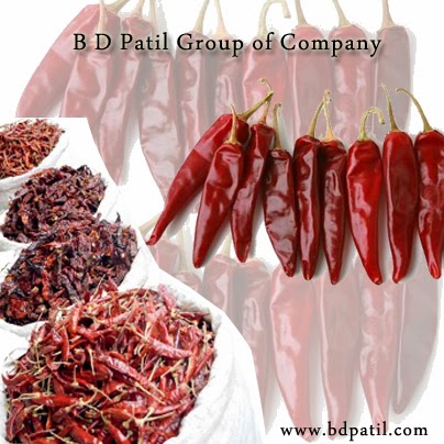 Byadgi Chilli | Kashmiri Chilli - Suppliers and Exporters: Make your ...