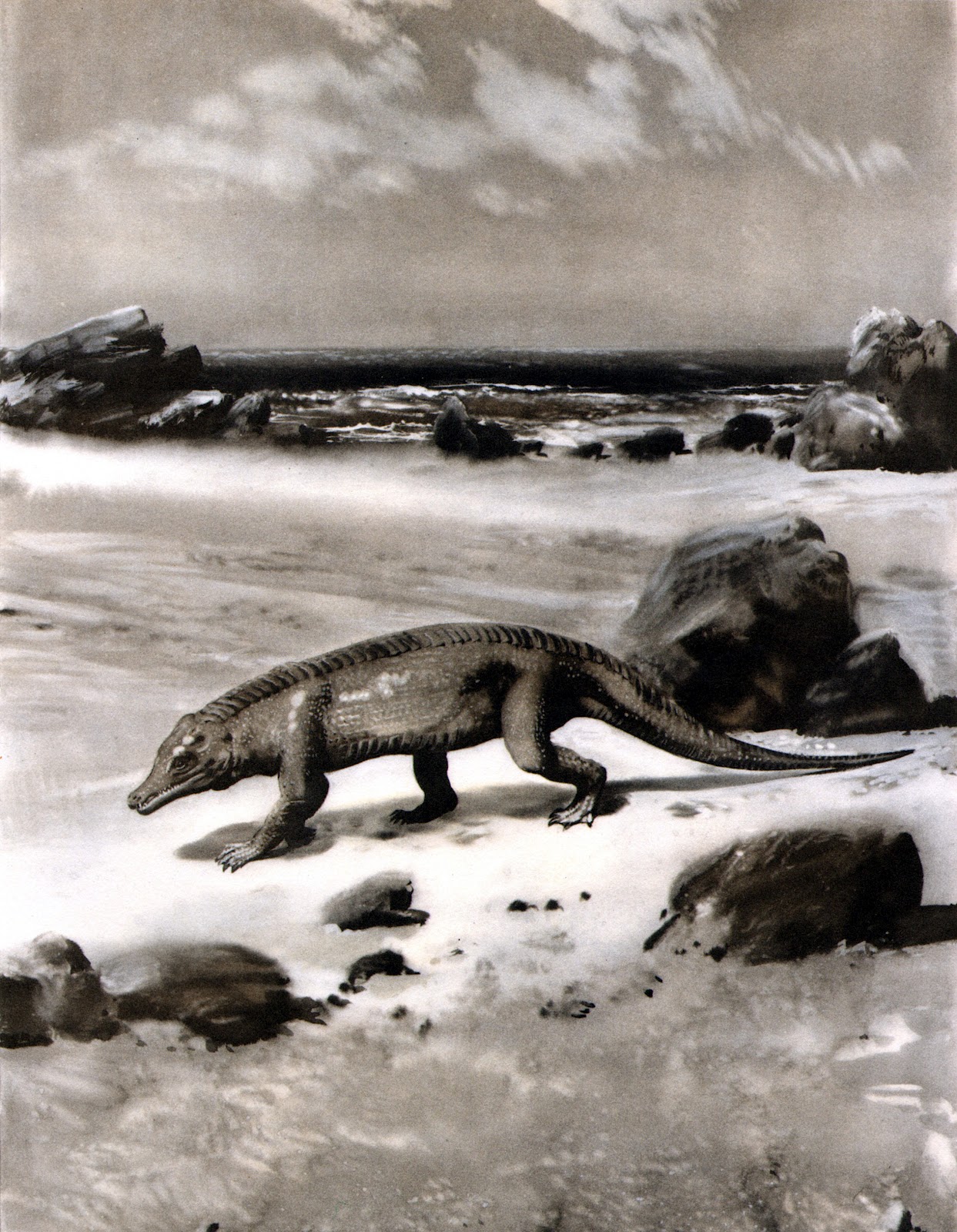 Zdeněk Burian: Protosuchus