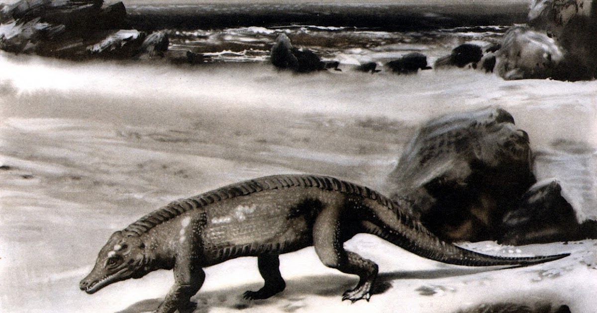 Zdeněk Burian: Protosuchus