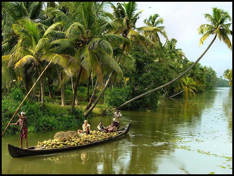 Kerala the destination...: Kerala